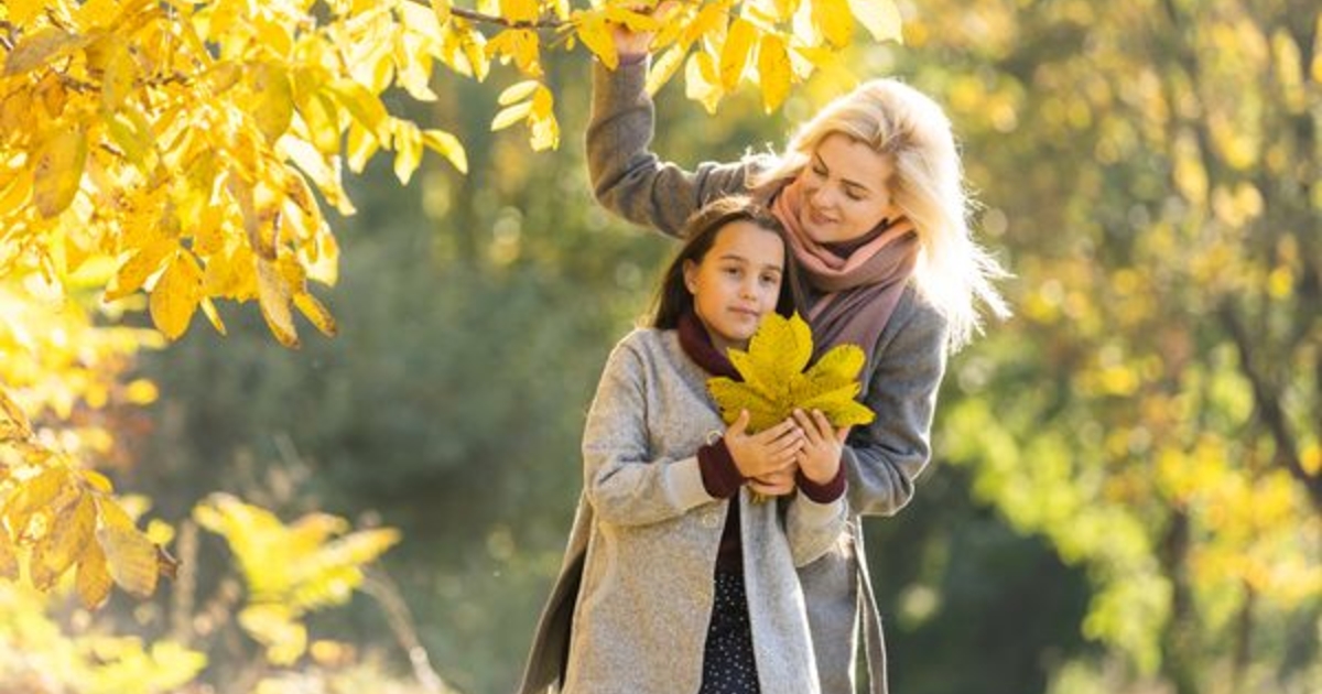 23 жовтня 2022 року яке свято заборони - IVONA.UA