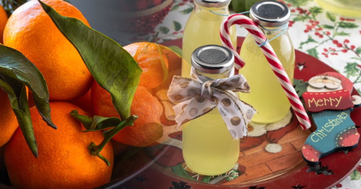Рецепт лимонаду на Новий рік із мандаринової шкірки - IVONA.UA