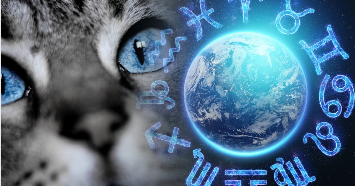 Март будет непростым для этих знаков Зодиака: чего ожидать? - IVONA.UA