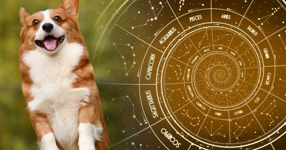 Самые избалованные астрологические знаки: ТОП-5 - IVONA.UA